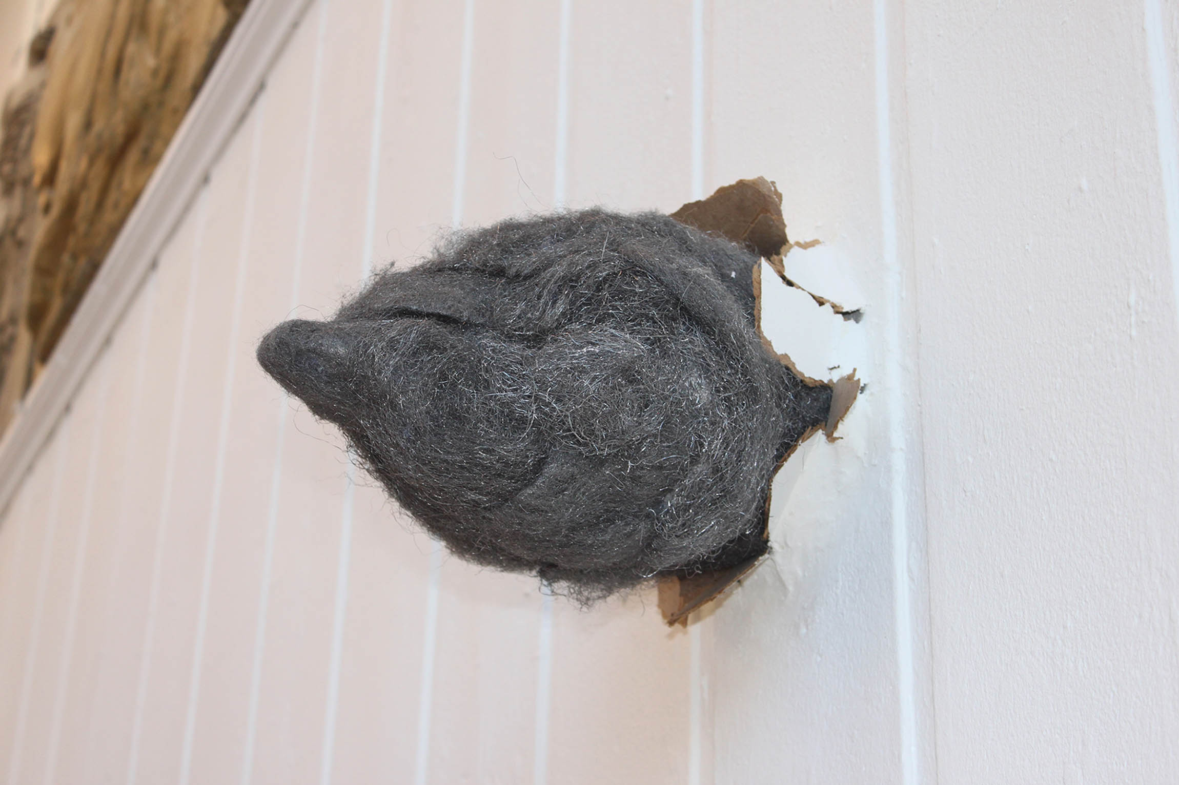 Laura Compton | Edinburgh College of Art Graduate Show 2025